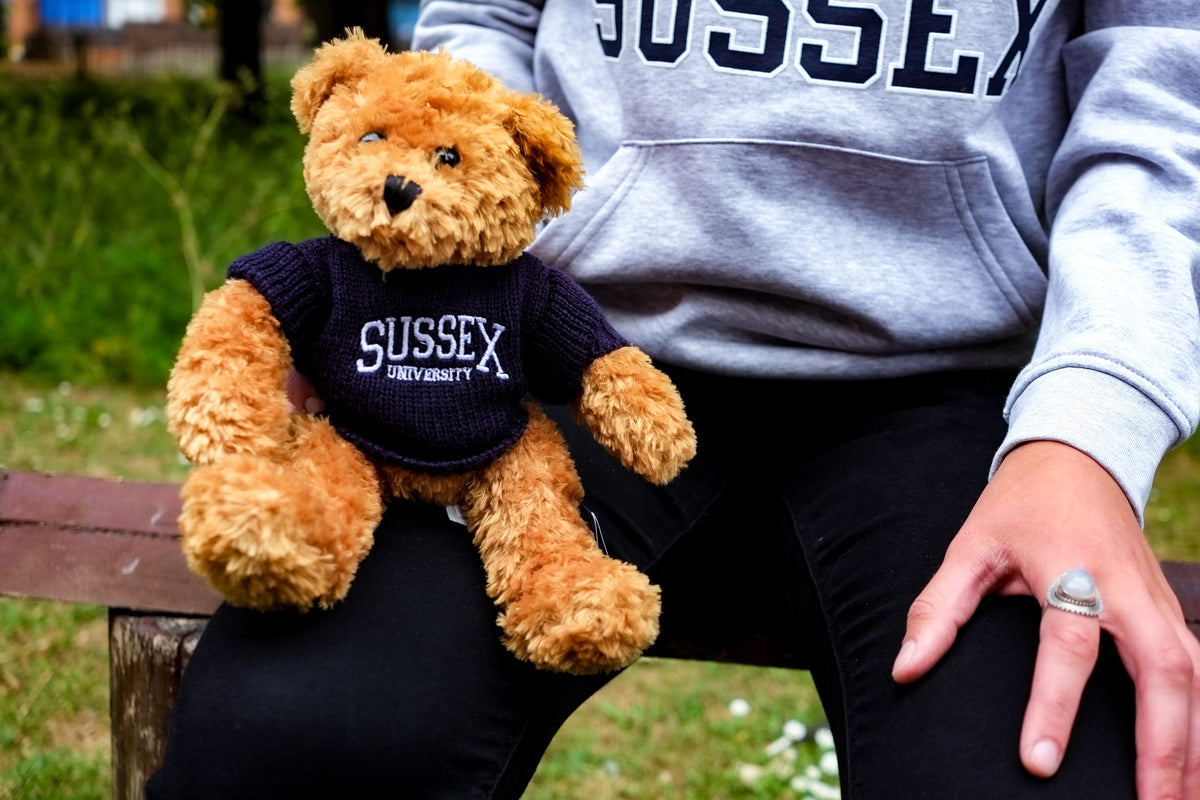 Toffee Bear – Sussex Student Shop