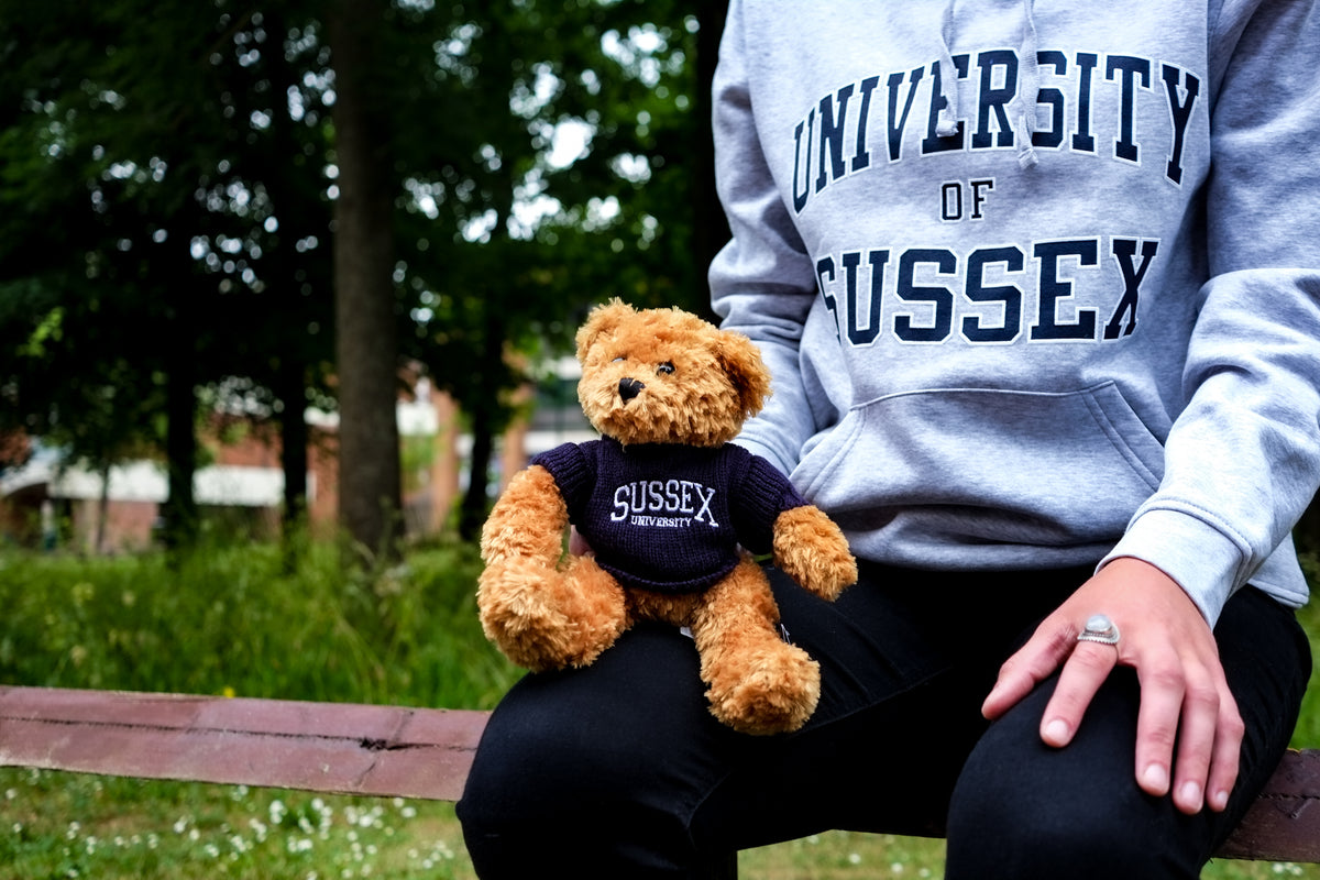 Toffee Bear – Sussex Student Shop
